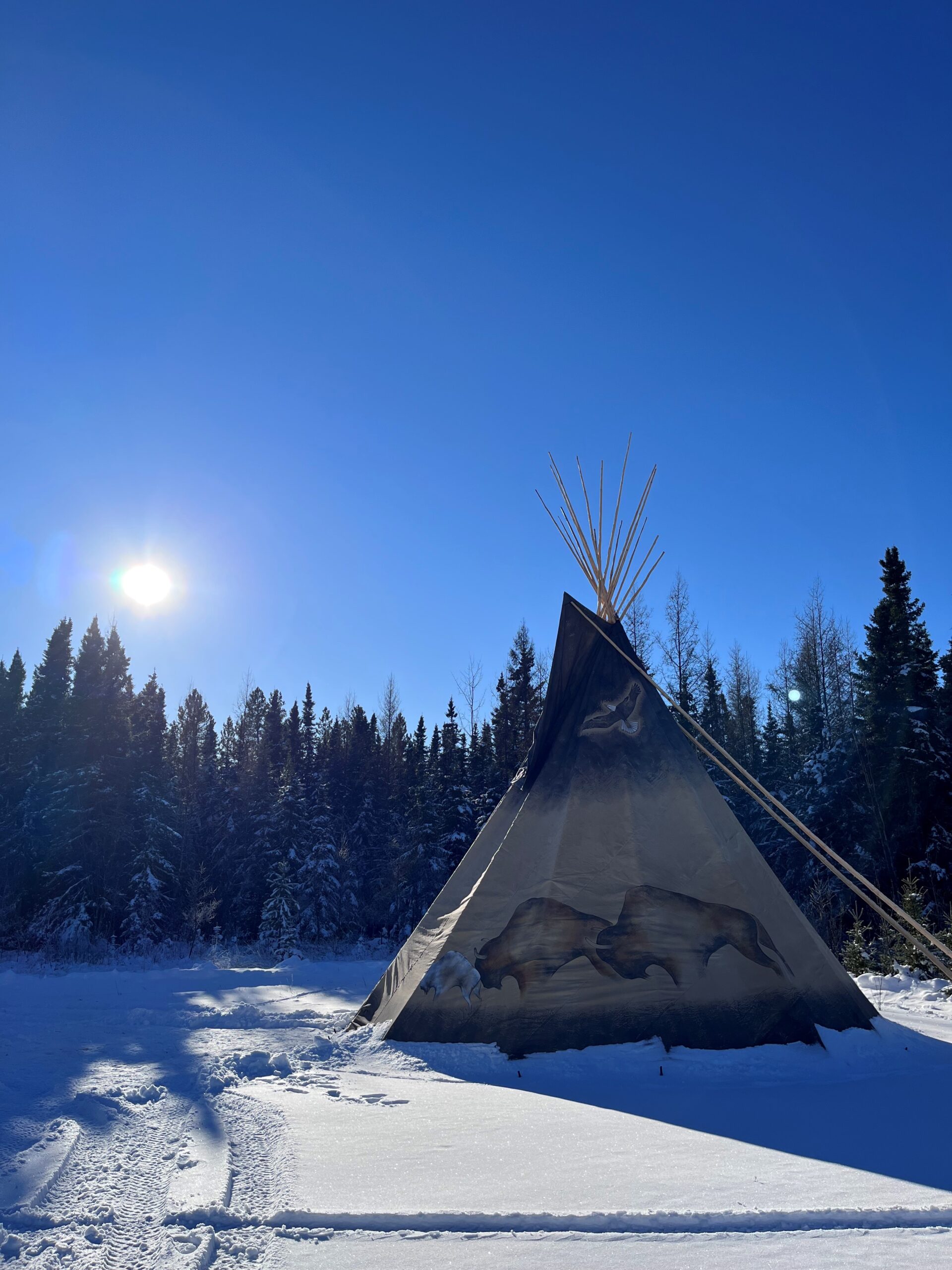 Accommodations | The Woods Experience