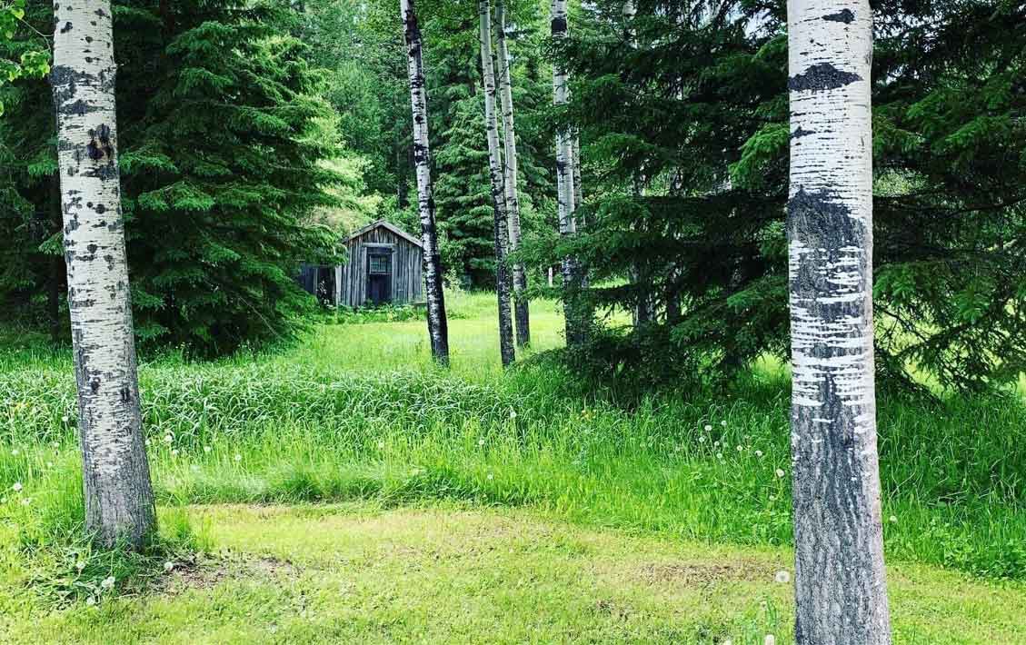 The Woods Experience | Conservation and Education Centre