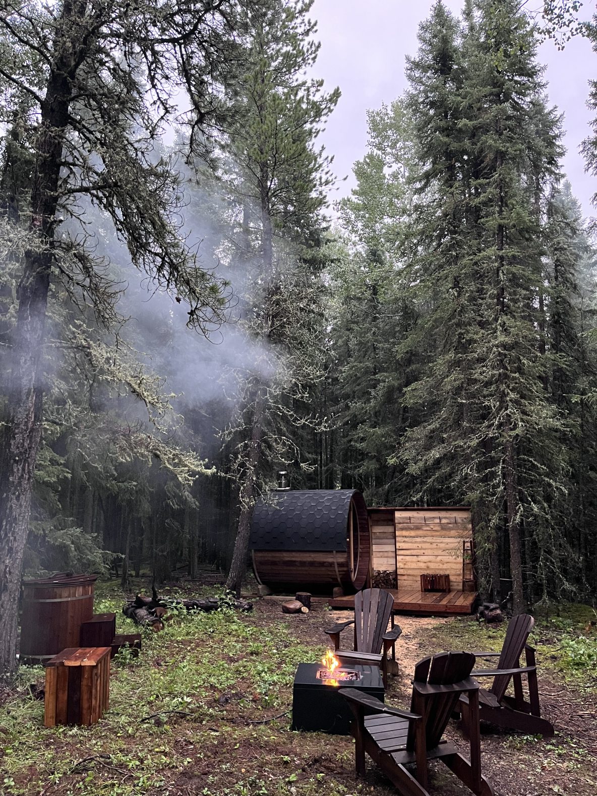 Off-grid Cabin | The Woods Experience